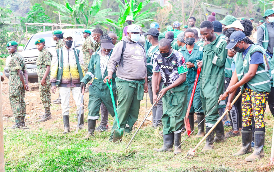 Climate WorX: Gov't Program That Will Employ 200,000 Kenyan Youth, How ...