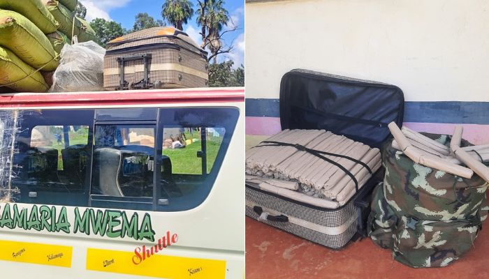 DCI Reveal How Matatu Driver Used Students as Disguise to Transport Bhang