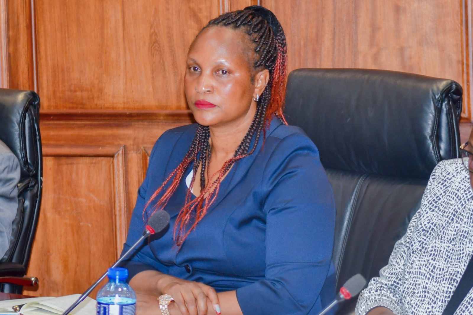 Ann Nderitu Reveals Changes in the IEBC Voter Registration System